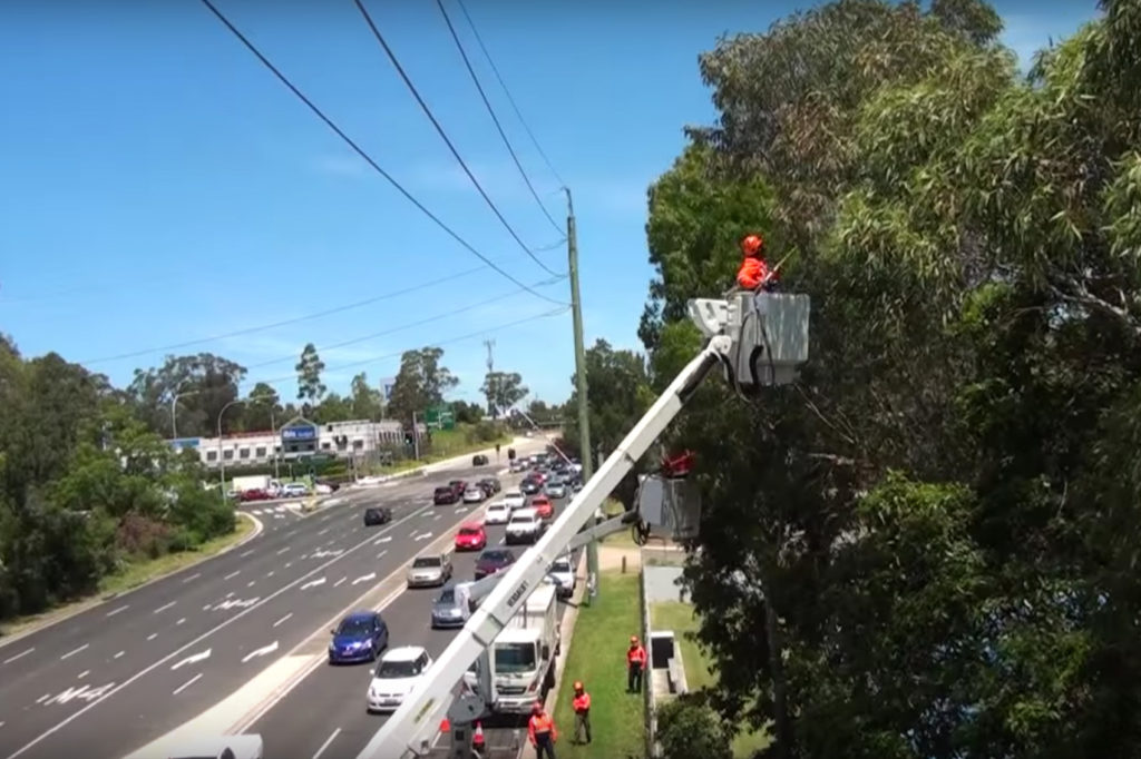 Pineapple Media Australia